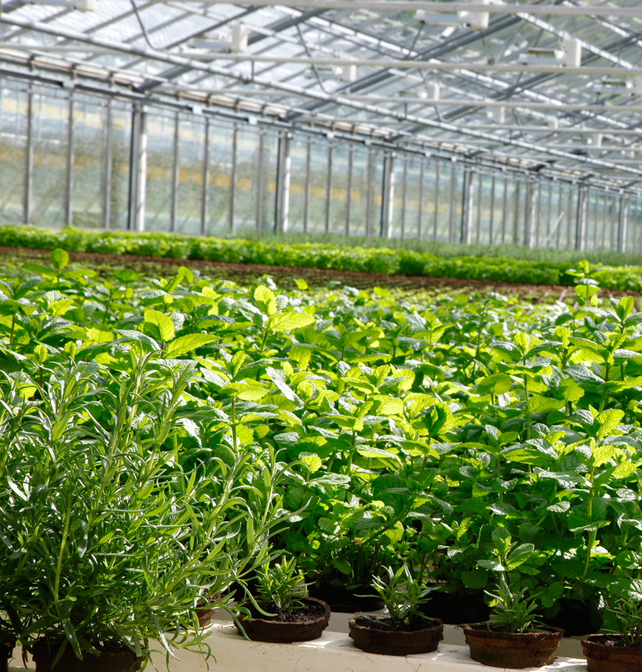 Job at Legro - Legro